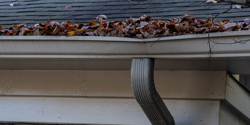 4 Signs You Need to Schedule Professional Gutter Cleaning Services ...